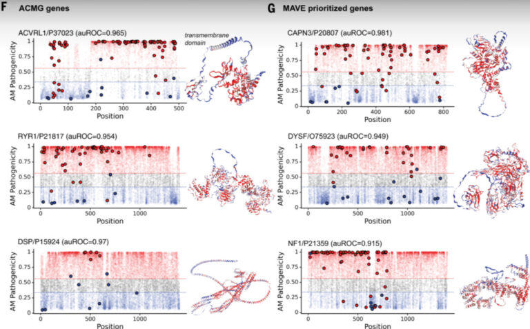 DeepMind 利用无监督学习开发 AlphaMissense，预测 7100 万种基因突变 / 资讯 / HyperAI超神经 | HyperAI超神经