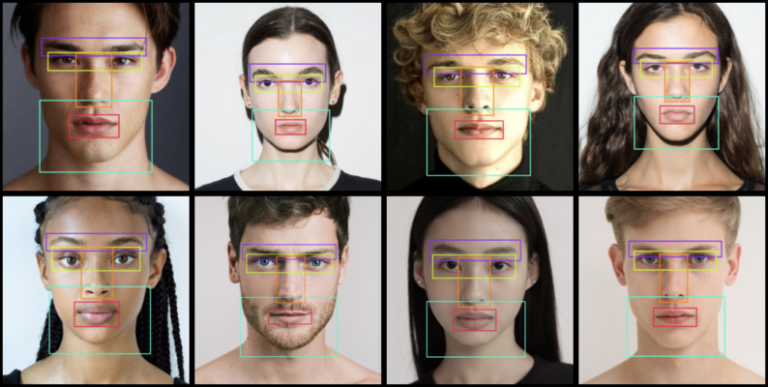 Facial Feature Extraction Dataset 面部特征提取数据集 | 数据集 | HyperAI超神经