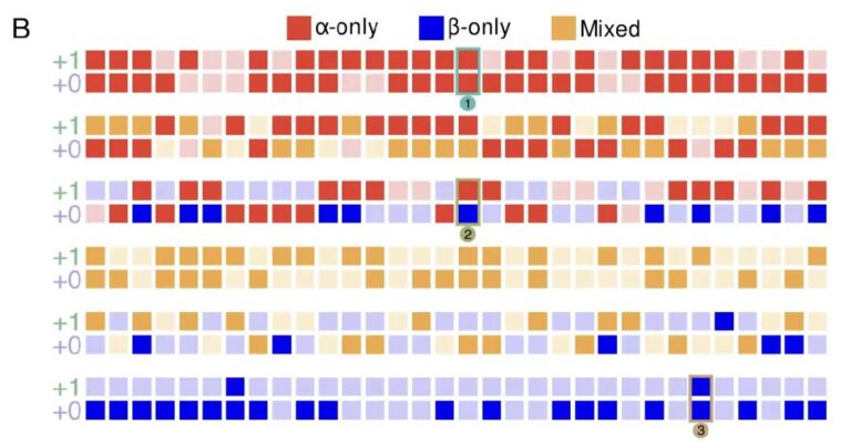 David Baker 团队最新研究，利用蛋白质序列生成模型实现重叠基因设计，成功率极高 | 资讯 | HyperAI超神经